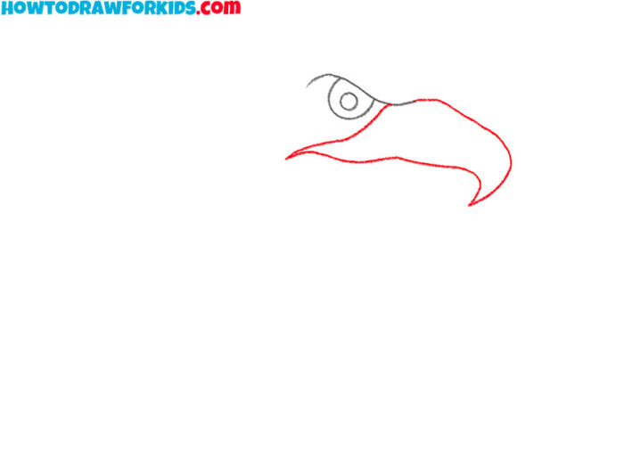How to Draw an Eagle Head - Easy Drawing Tutorial For Kids