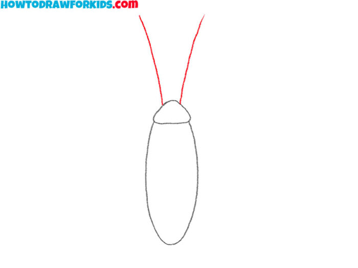 How to Draw a Cockroach - Easy Drawing Tutorial For Kids