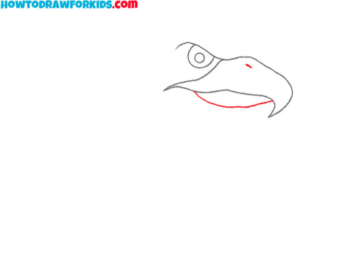 How to Draw an Eagle Head - Easy Drawing Tutorial For Kids