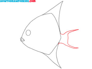 How to Draw an Angelfish - Easy Drawing Tutorial For Kids
