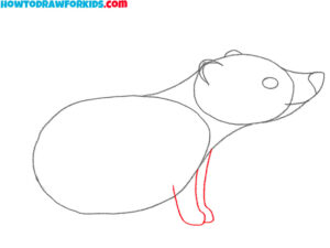 How to Draw a Badger - Easy Drawing Tutorial For Kids