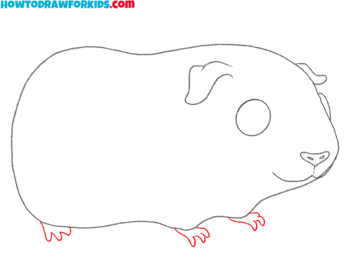 How to Draw a Guinea Pig - Easy Drawing Tutorial For Kids