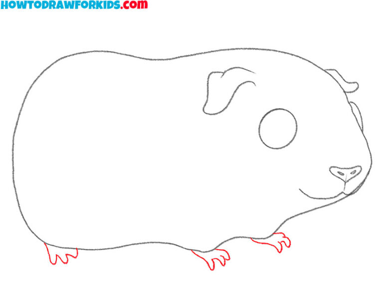 How to Draw a Guinea Pig - Easy Drawing Tutorial For Kids
