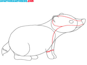 How to Draw a Badger - Easy Drawing Tutorial For Kids