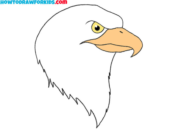 How to Draw an Eagle Head - Easy Drawing Tutorial For Kids