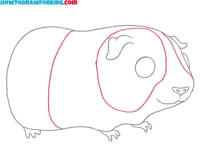 How to Draw a Guinea Pig - Easy Drawing Tutorial For Kids