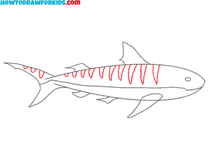 How to Draw a Tiger Shark - Easy Drawing Tutorial For Kids