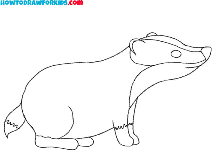 How to Draw a Badger - Easy Drawing Tutorial For Kids