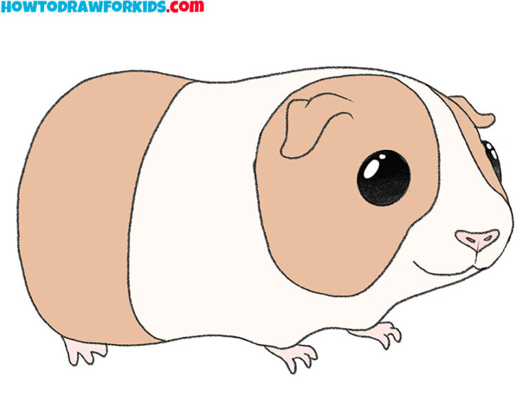 How to Draw a Guinea Pig - Easy Drawing Tutorial For Kids