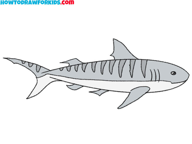 How to Draw a Tiger Shark - Easy Drawing Tutorial For Kids