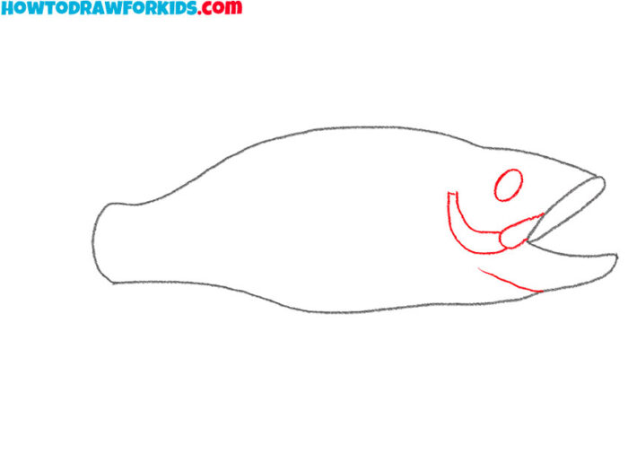 How to Draw a Bass Fish - Easy Drawing Tutorial For Kids