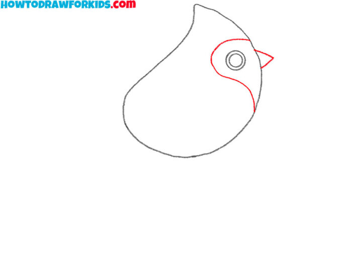 How to Draw a Cardinal Bird - Easy Drawing Tutorial For Kids