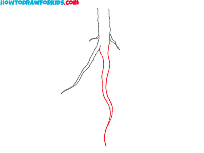 How to Draw Roots - Easy Drawing Tutorial For Kids