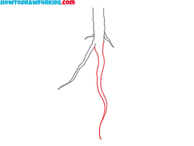 How to Draw Roots - Easy Drawing Tutorial For Kids