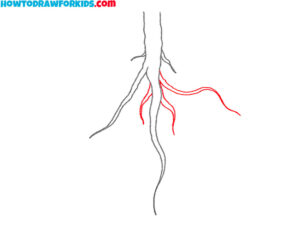 How to Draw Roots - Easy Drawing Tutorial For Kids