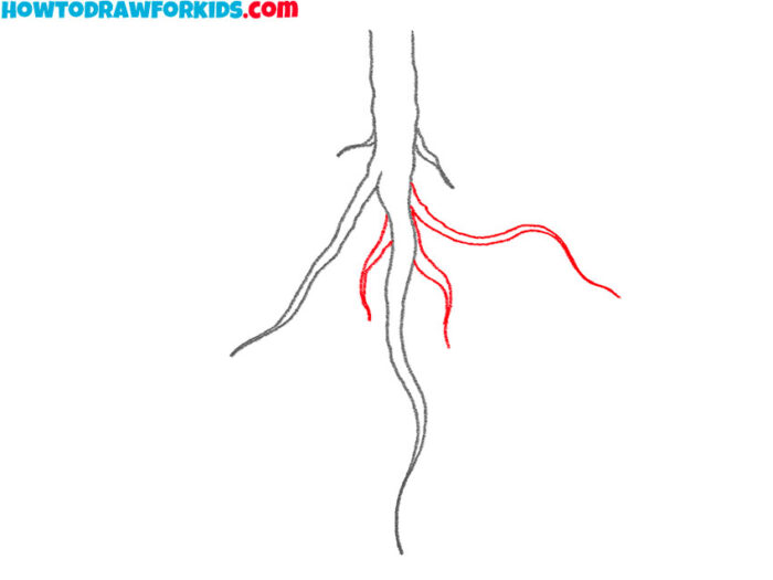 How to Draw Roots - Easy Drawing Tutorial For Kids