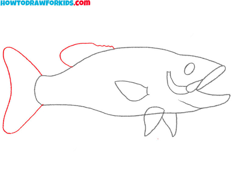 How to Draw a Bass Fish - Easy Drawing Tutorial For Kids