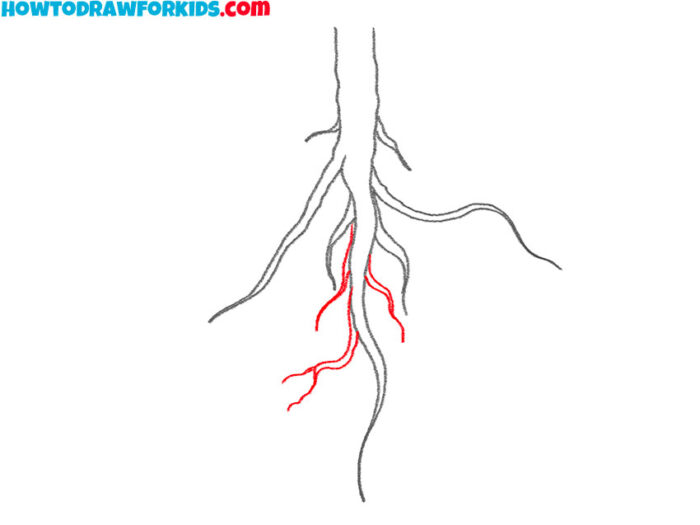 How to Draw Roots - Easy Drawing Tutorial For Kids