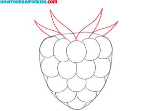 How to Draw a Raspberry - Easy Drawing Tutorial For Kids