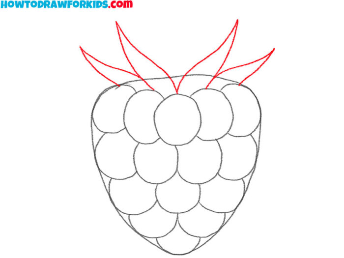 How to Draw a Raspberry - Easy Drawing Tutorial For Kids