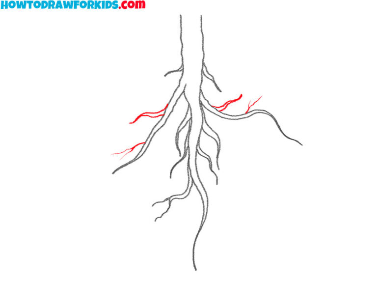 How to Draw Roots - Easy Drawing Tutorial For Kids