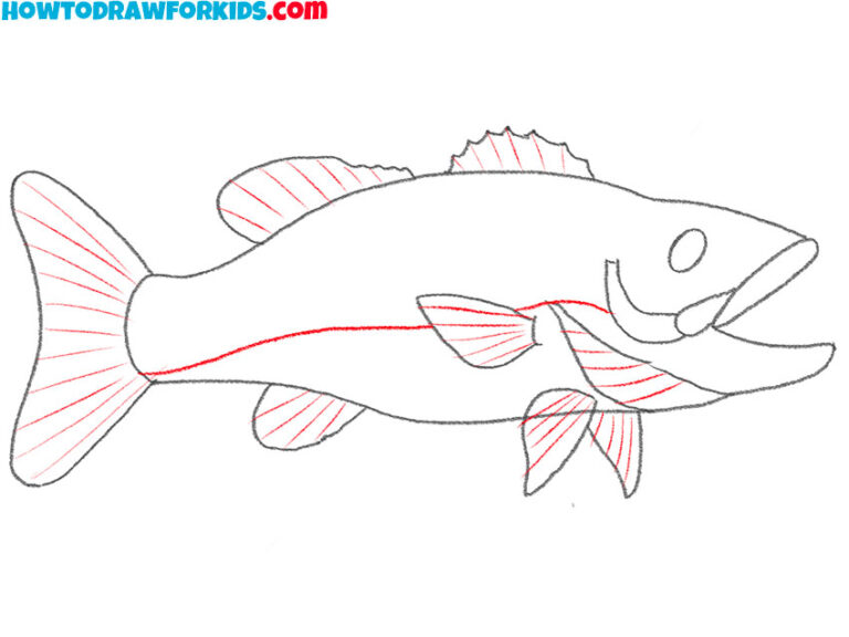 How to Draw a Bass Fish - Easy Drawing Tutorial For Kids