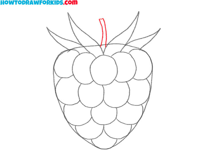 How to Draw a Raspberry - Easy Drawing Tutorial For Kids