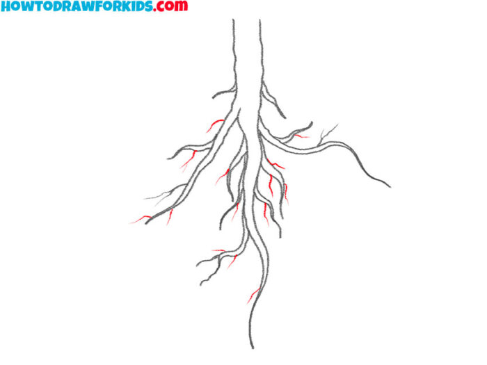 How to Draw Roots - Easy Drawing Tutorial For Kids