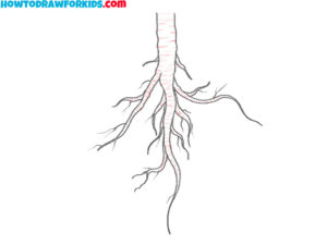 How to Draw Roots - Easy Drawing Tutorial For Kids