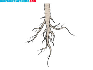 How to Draw Roots - Easy Drawing Tutorial For Kids