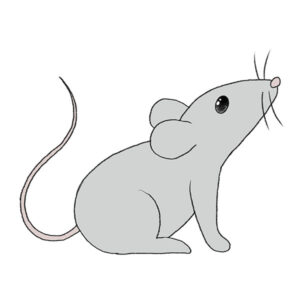 How to Draw a Button - Easy Drawing Tutorial For Kids