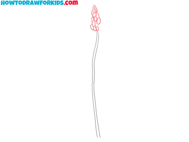 How to Draw a Bluebonnet - Easy Drawing Tutorial For Kids