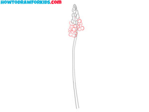 How to Draw a Bluebonnet - Easy Drawing Tutorial For Kids