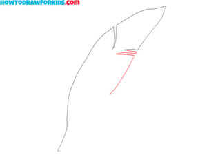 How to Draw a Palm Leaf - Easy Drawing Tutorial For Kids