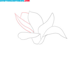 How to Draw a Magnolia - Easy Drawing Tutorial For Kids