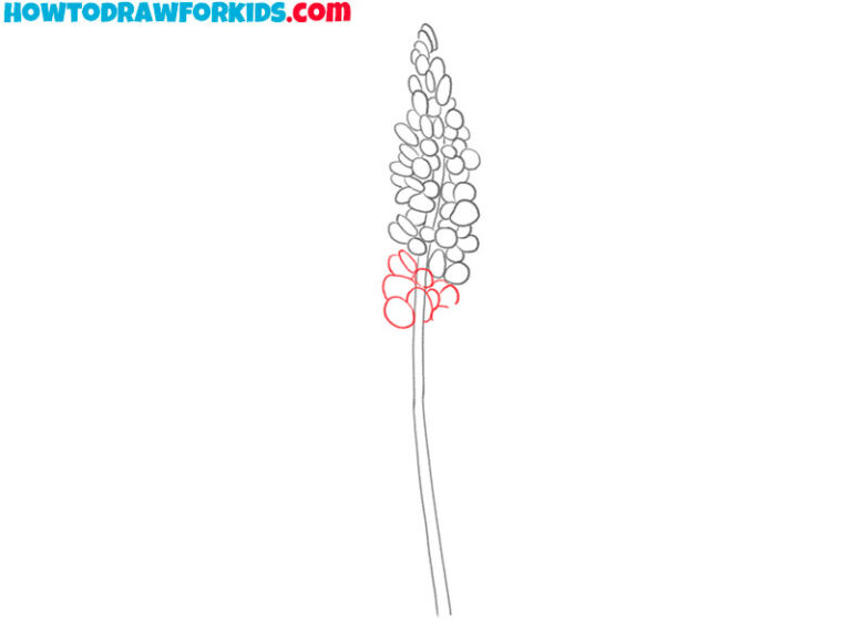How to Draw a Bluebonnet - Easy Drawing Tutorial For Kids