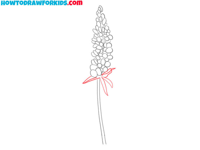 How to Draw a Bluebonnet - Easy Drawing Tutorial For Kids