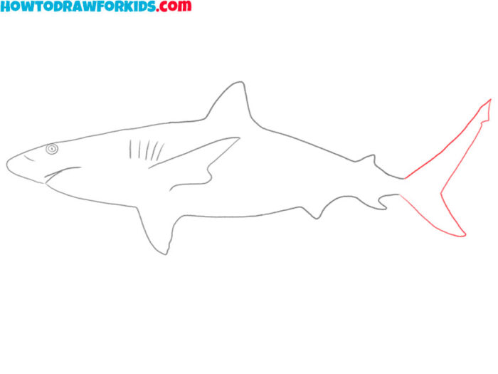 How to Draw a Realistic Shark - Easy Drawing Tutorial For Kids