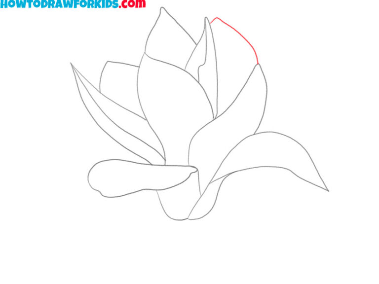 How to Draw a Magnolia - Easy Drawing Tutorial For Kids