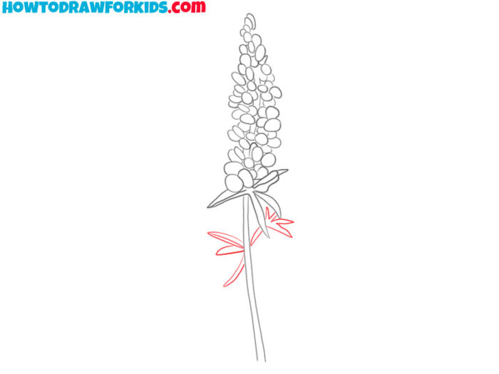 How to Draw a Bluebonnet - Easy Drawing Tutorial For Kids