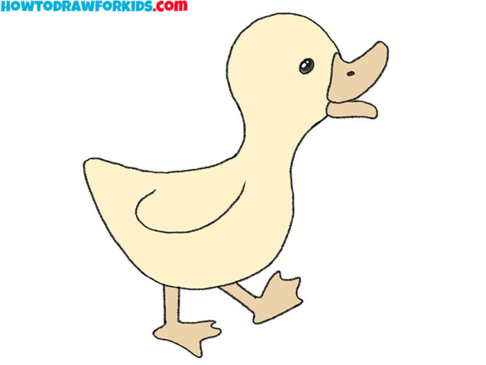 How to Draw a Cartoon Duck - Easy Drawing Tutorial For Kids