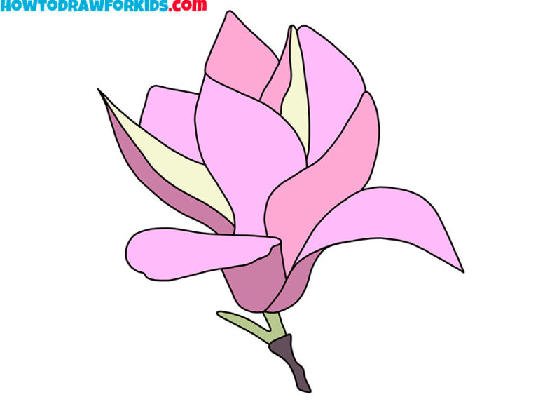 How to Draw a Magnolia - Easy Drawing Tutorial For Kids
