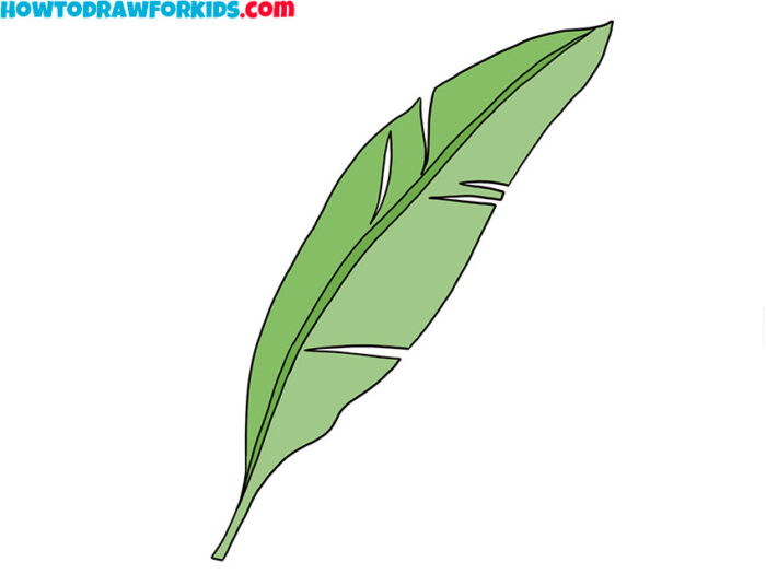 How to Draw a Palm Leaf - Easy Drawing Tutorial For Kids