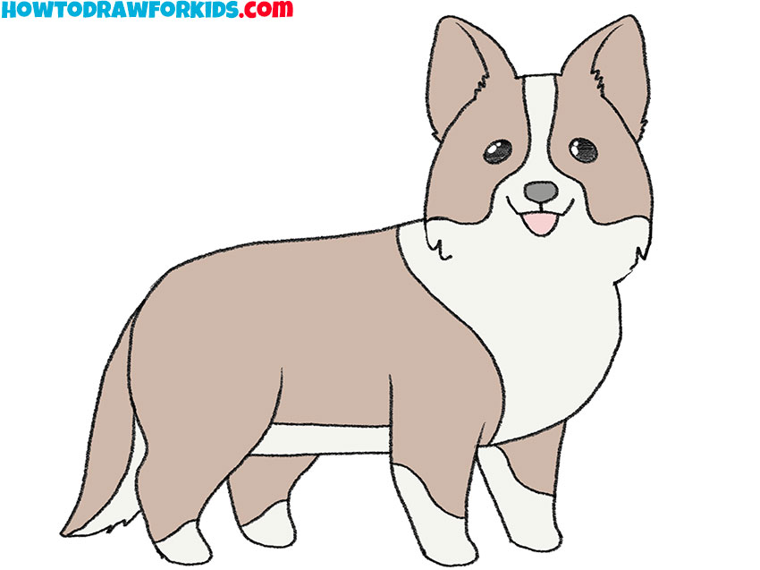 How To Draw A Border Collie Easy Drawing Tutorial For Kids