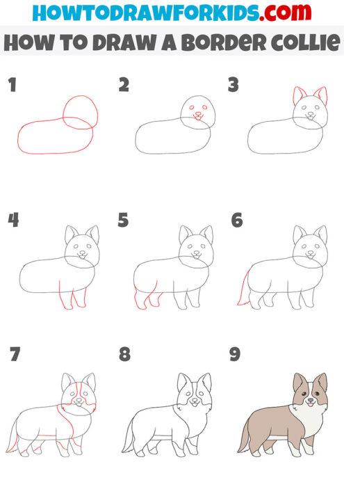How to Draw a Border Collie - Easy Drawing Tutorial For Kids