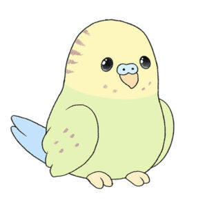 How to Draw a Tutu - Easy Drawing Tutorial For Kids