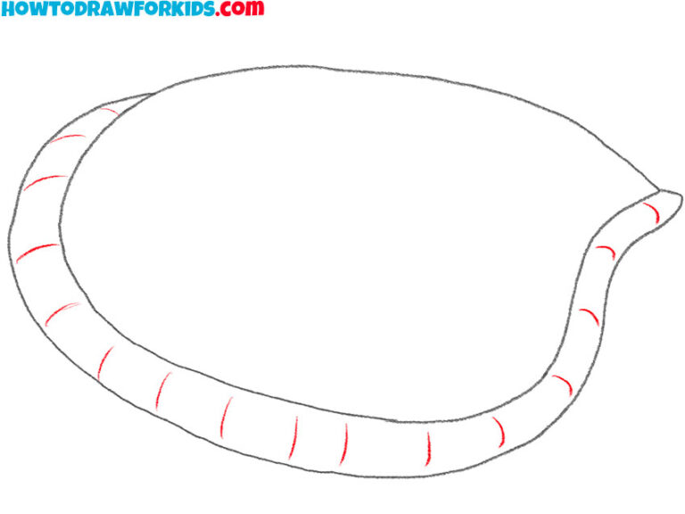 How to Draw a Turtle Shell - Easy Drawing Tutorial For Kids