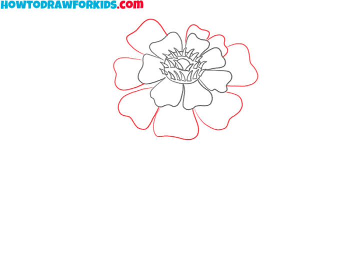 How to Draw a Marigold - Easy Drawing Tutorial For Kids