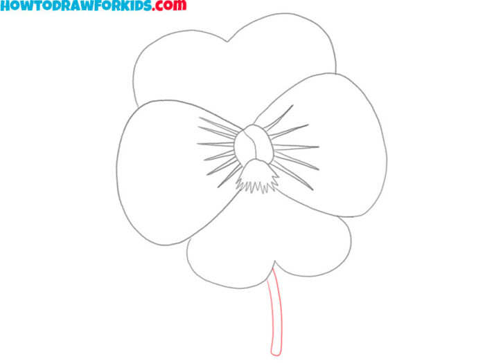 How to Draw a Pansy - Easy Drawing Tutorial For Kids