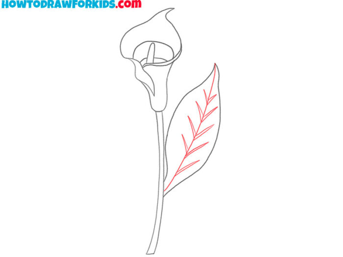 How to Draw a Calla Lily - Easy Drawing Tutorial For Kids